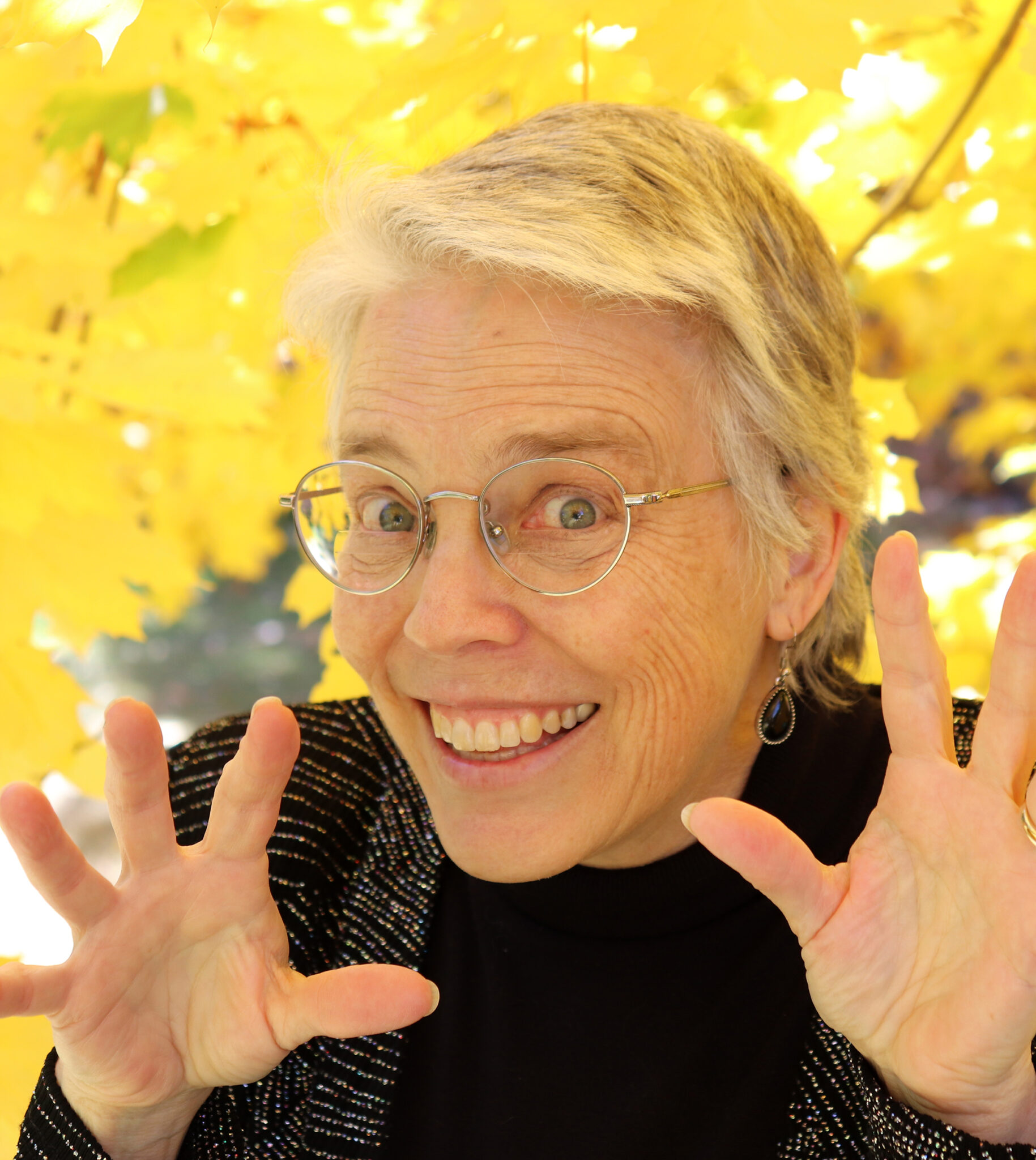 The 2025 Festival Storytellers – Better Said Than Done